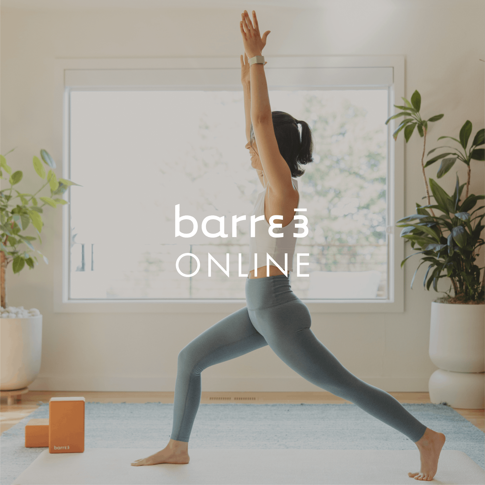 barre3® - 200+ studios AND 2300+ online workouts
